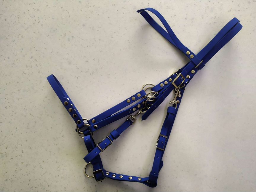 Оголовье из биотана