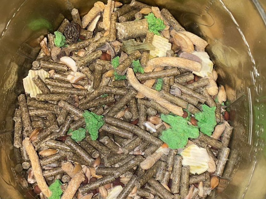 Еда для шиншилл