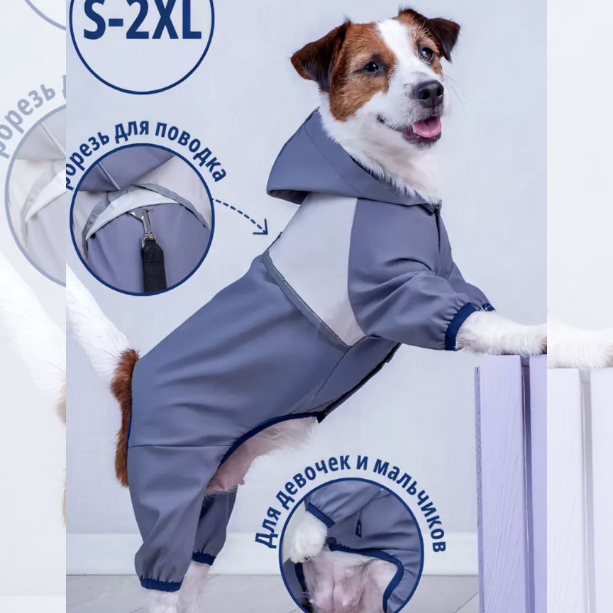 Одежда для собак
