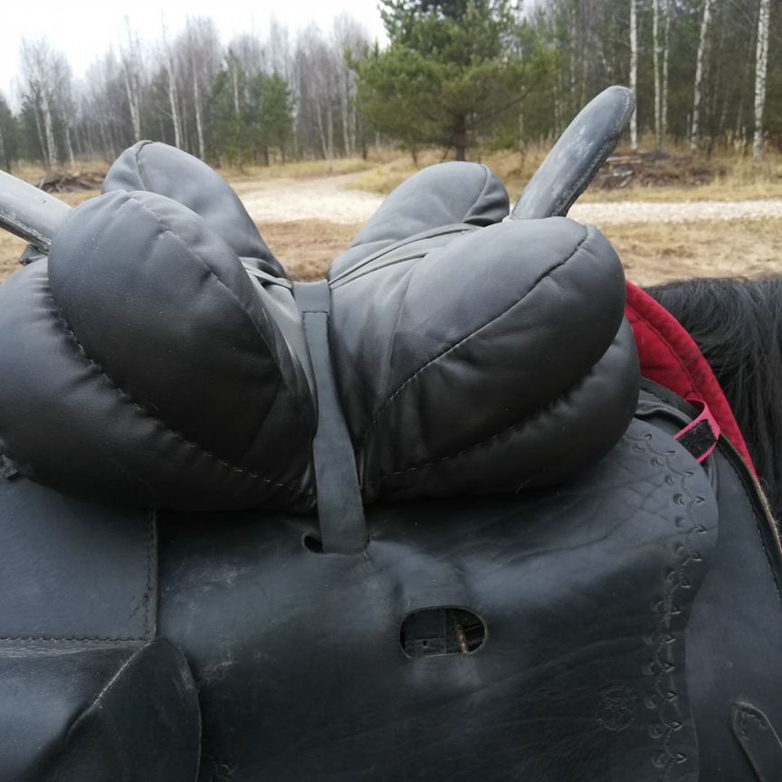 Седло казачье с черкесской подушкой и подперсьем