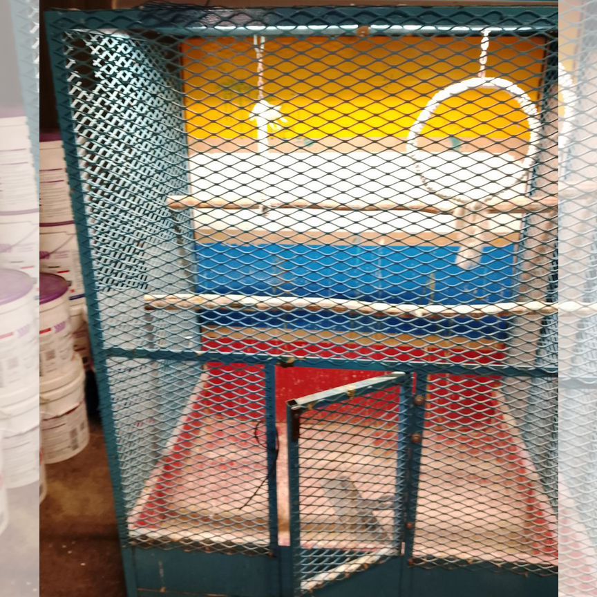 Клетка или большой Валер