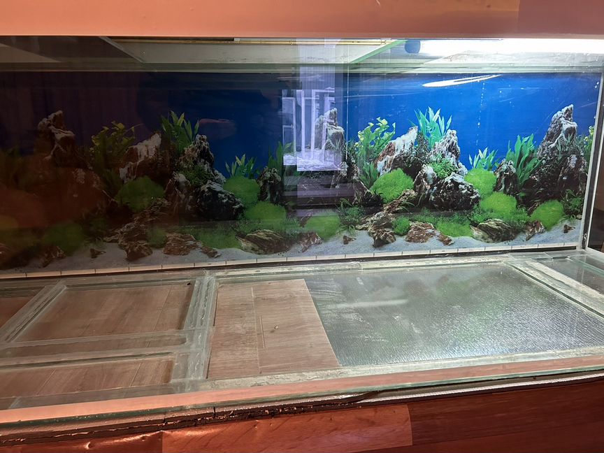 Аквариум на 1, 5 тонны