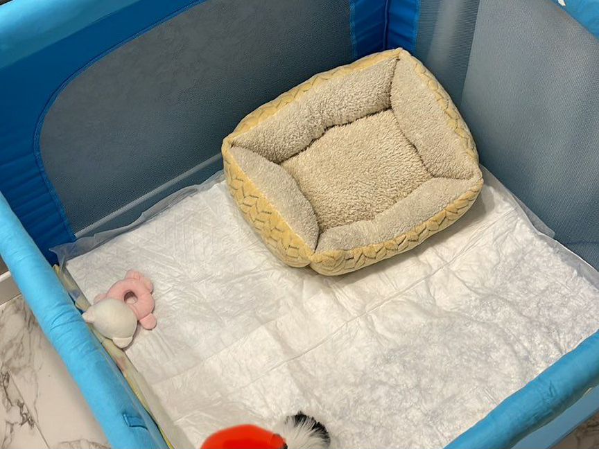 Манеж/вольер