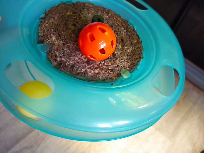 Игрушка-когтеточка с мячиком для котят