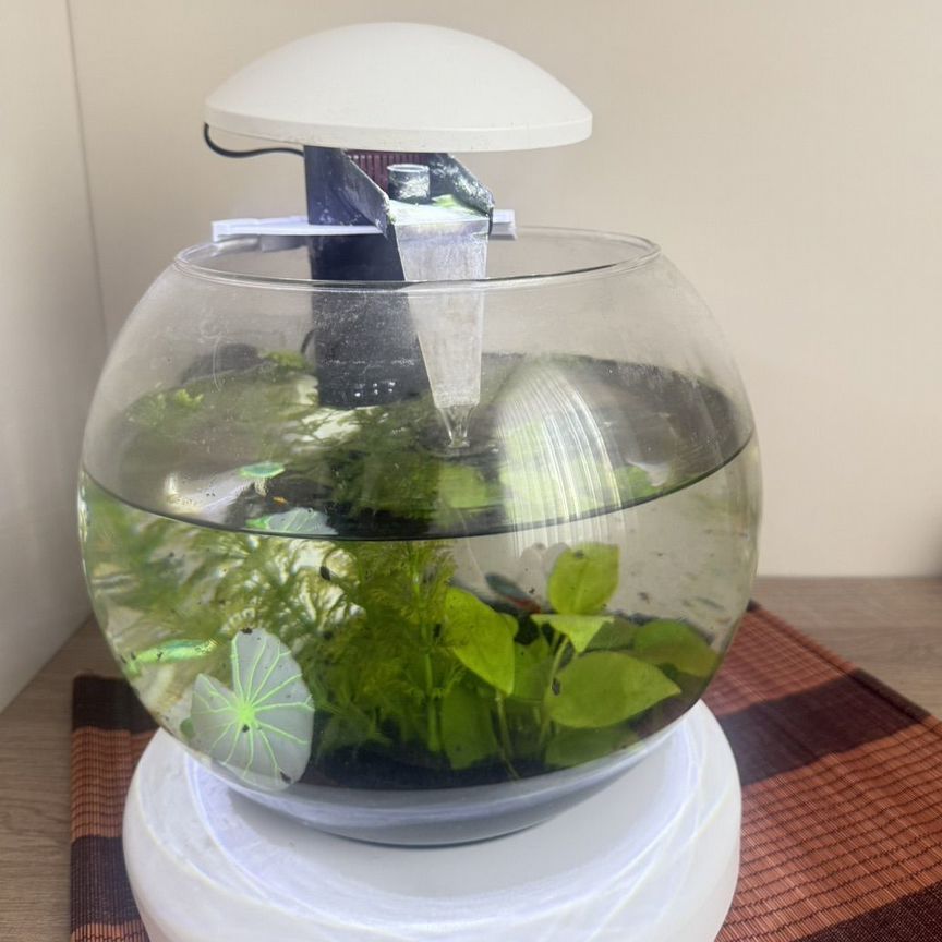 Аквариум круглый tetra