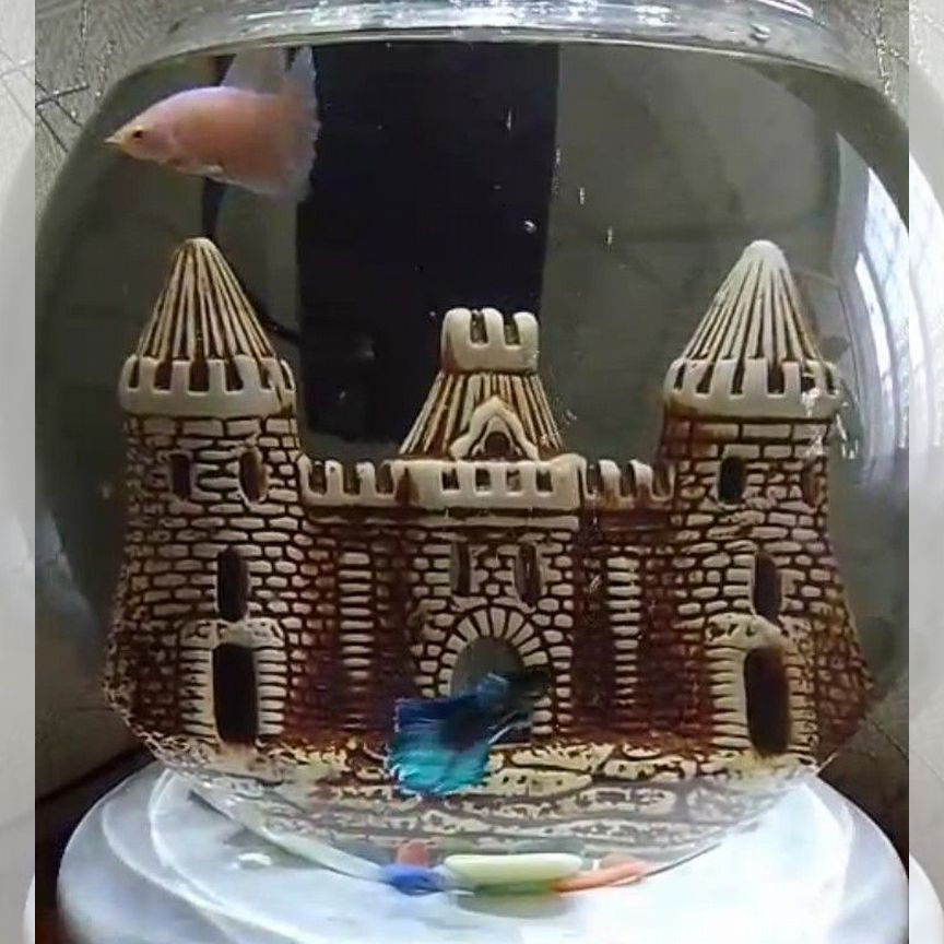 Аквариум с рыбкой