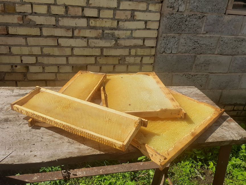 Сушь для пчел