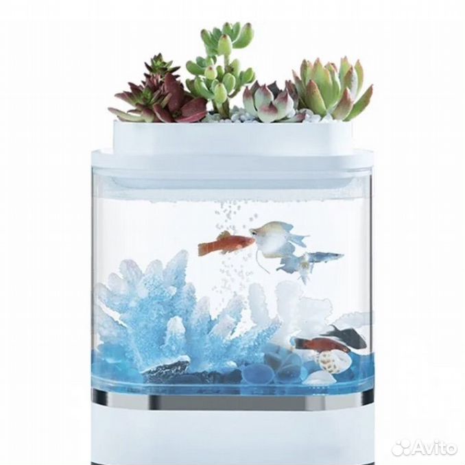 Аква-ферма Xiaomi Descriptive Geometry Mini