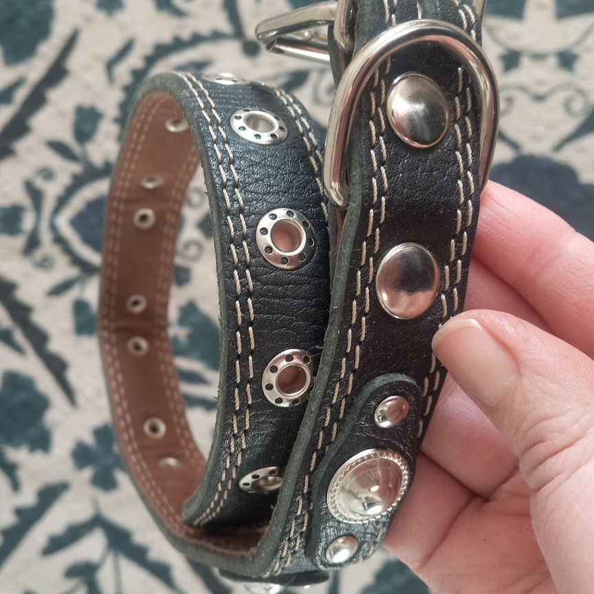 Ошейник для собак