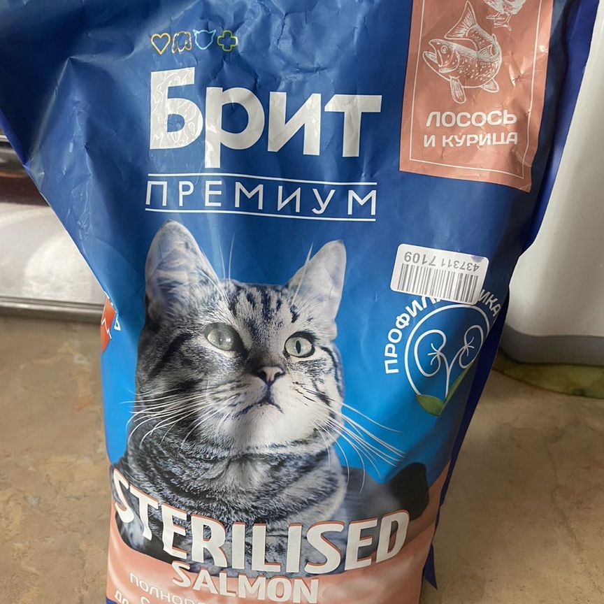 Корм для кошек