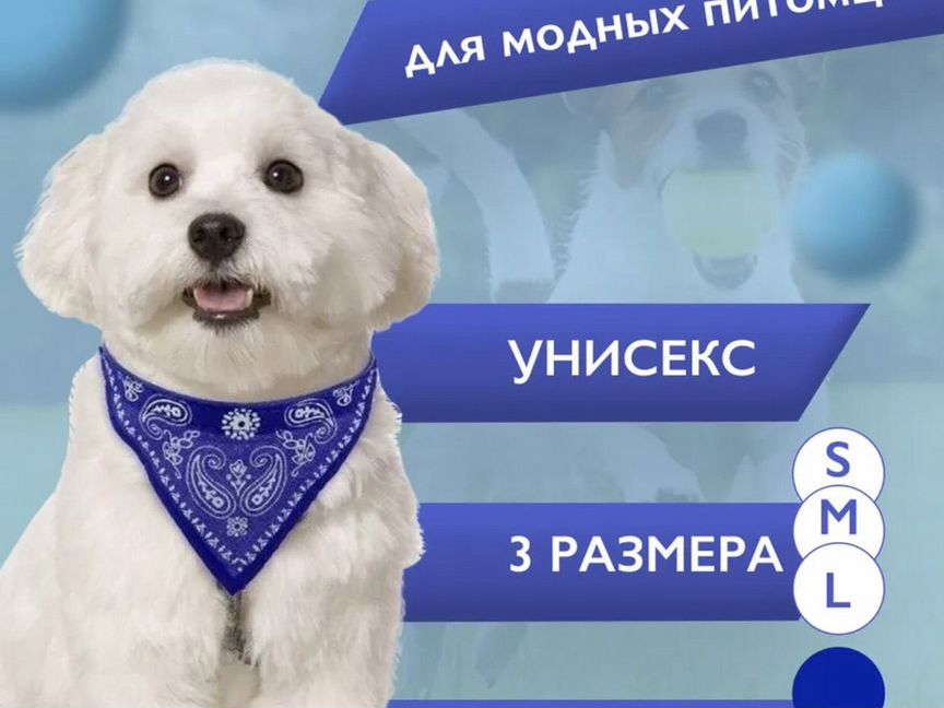Ошейник для собак бандана