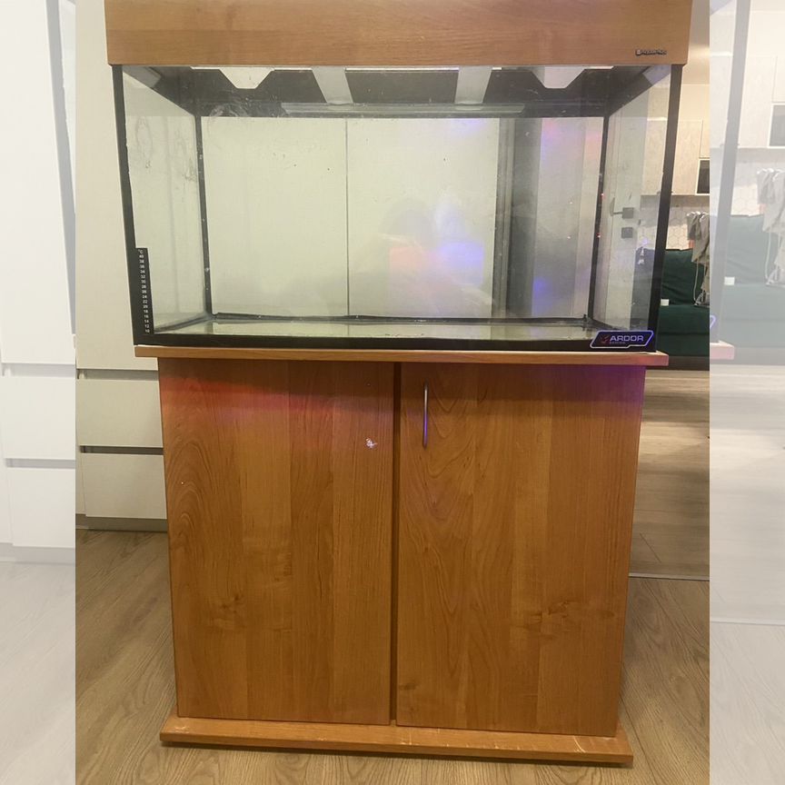 Классный аквариум с внешним фильтром