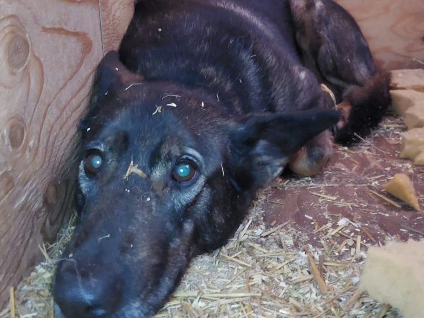 Феня живёт в страхе всю свою жизнь