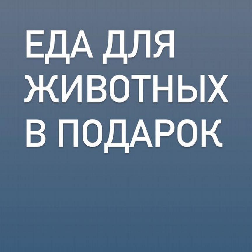 Еда для животных