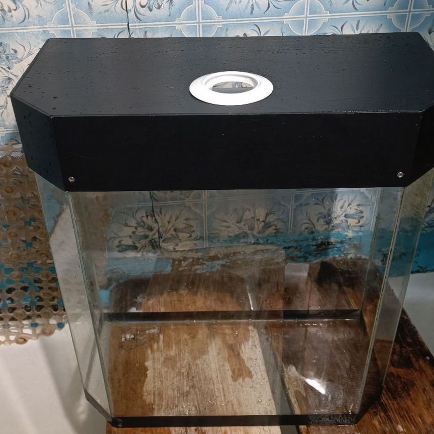 Аквариум террариум