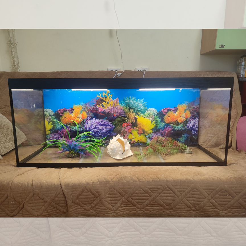 Аквариум большой