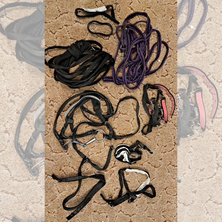 Принадлежности для лошади