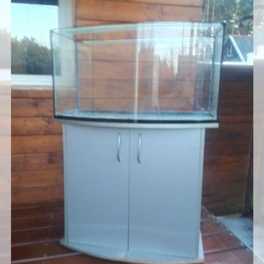 Аквариум с тумбой и оборудование