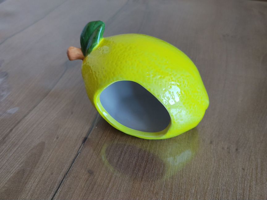 Домик для грызуна/улитки