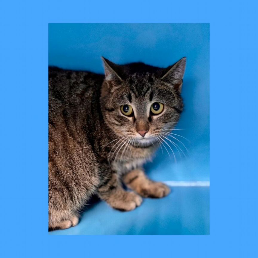 Ситуация критическая