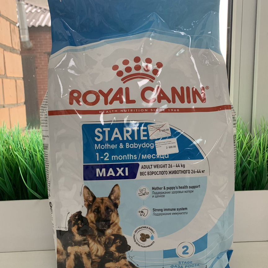 Royal canin стартер для крупных пород