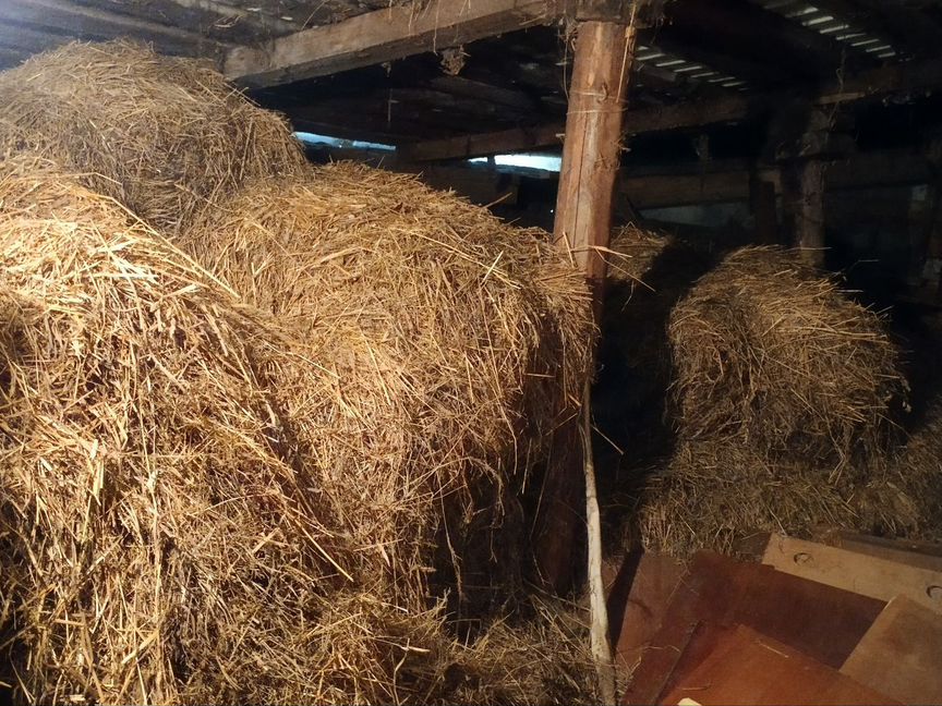 Сено солома