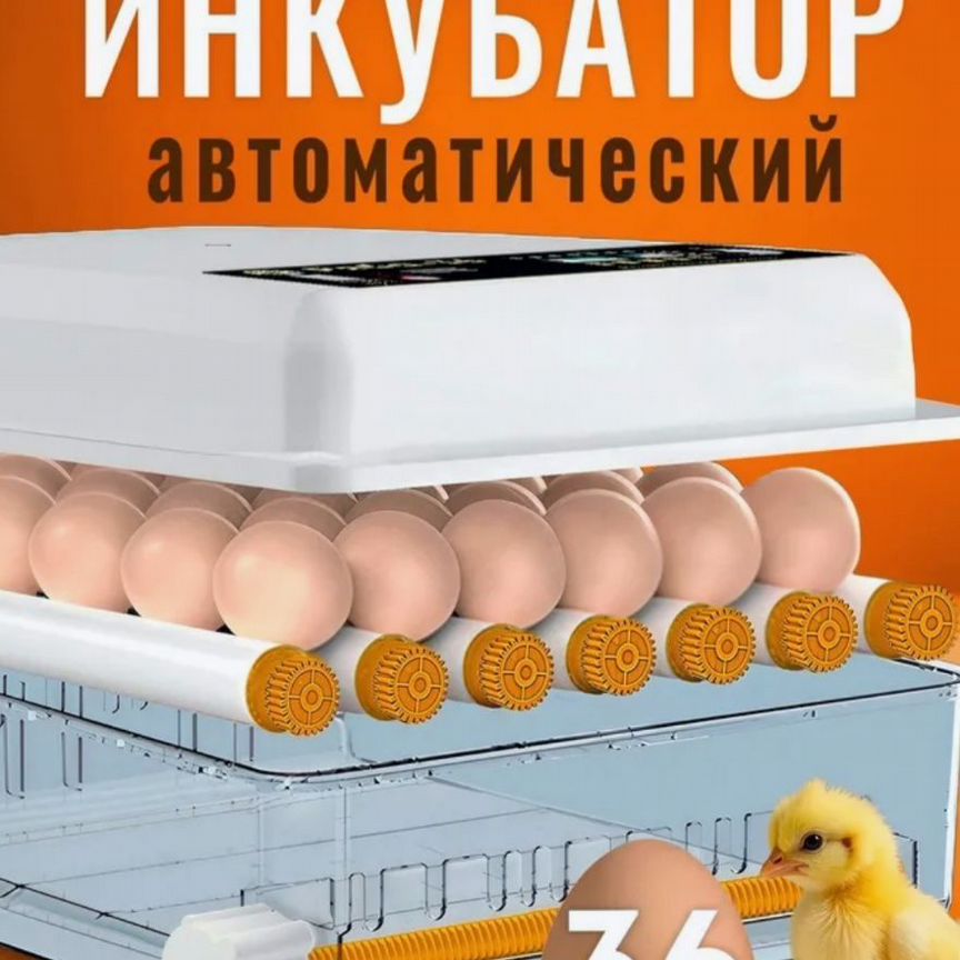Инкубатор