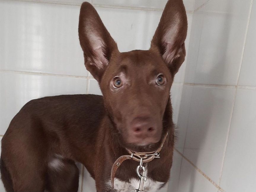 Заберите малышку домой