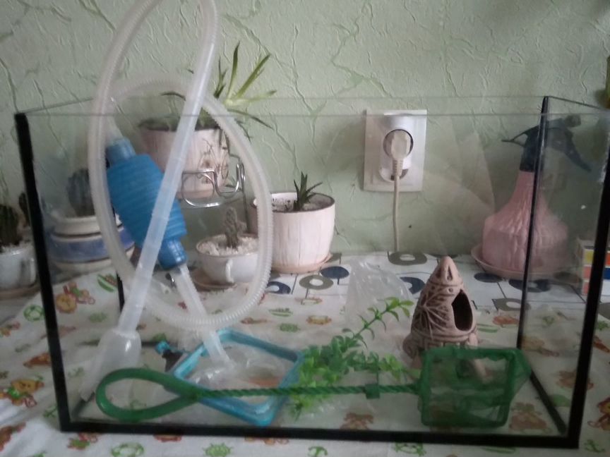 Аквариум с крышкой