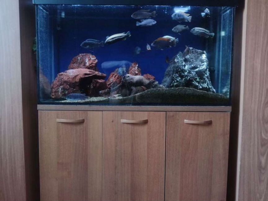 Аквариумный комплекс
