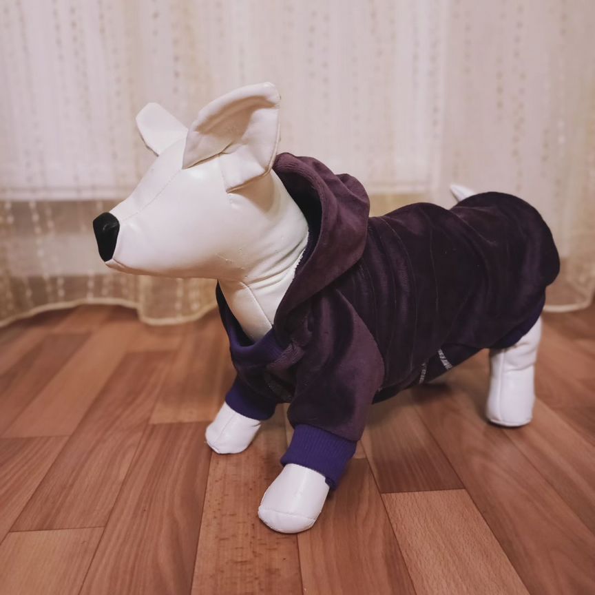 Свитшот для сфинкса
