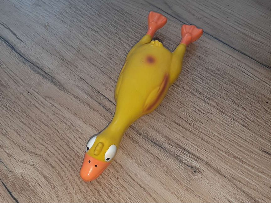 Игрушка для собак Гусь-пискля