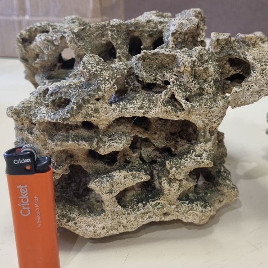 Декор для аквариума: камень, коралл, грунт, домики