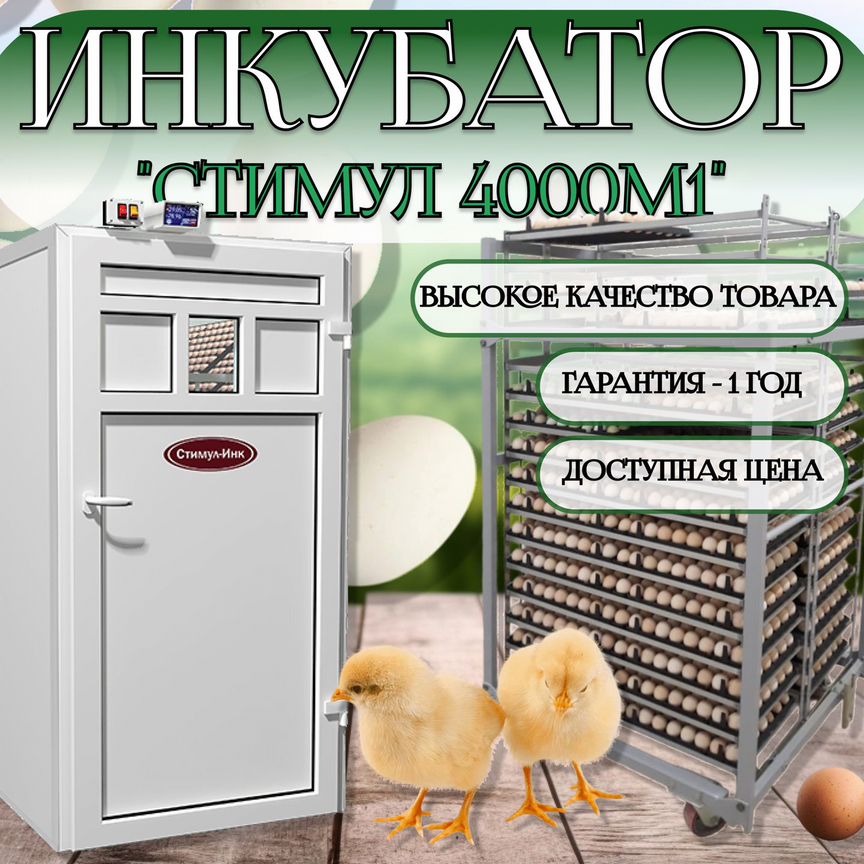 Инкубатор автоматический стимул-4000М1П