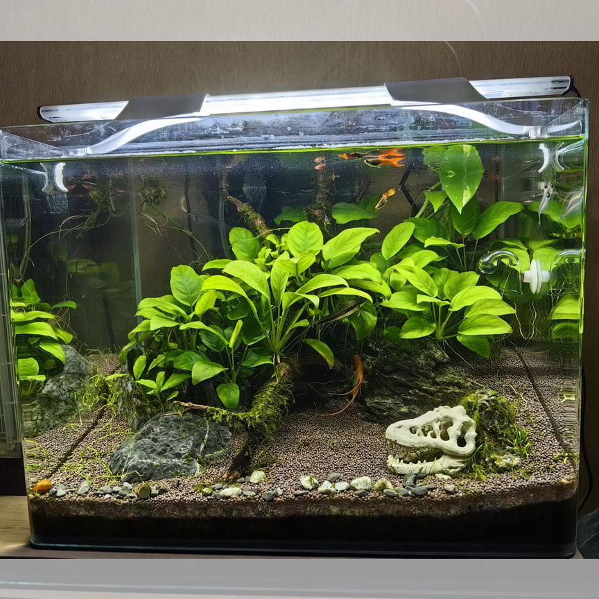 Готовый аквариум 55 л на базе dennerle