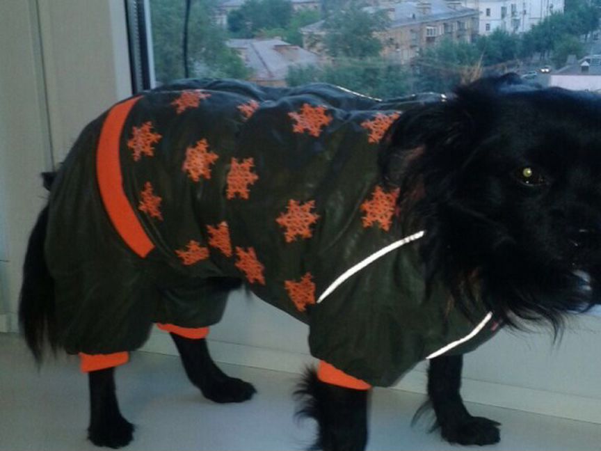 Комбинезон зимний