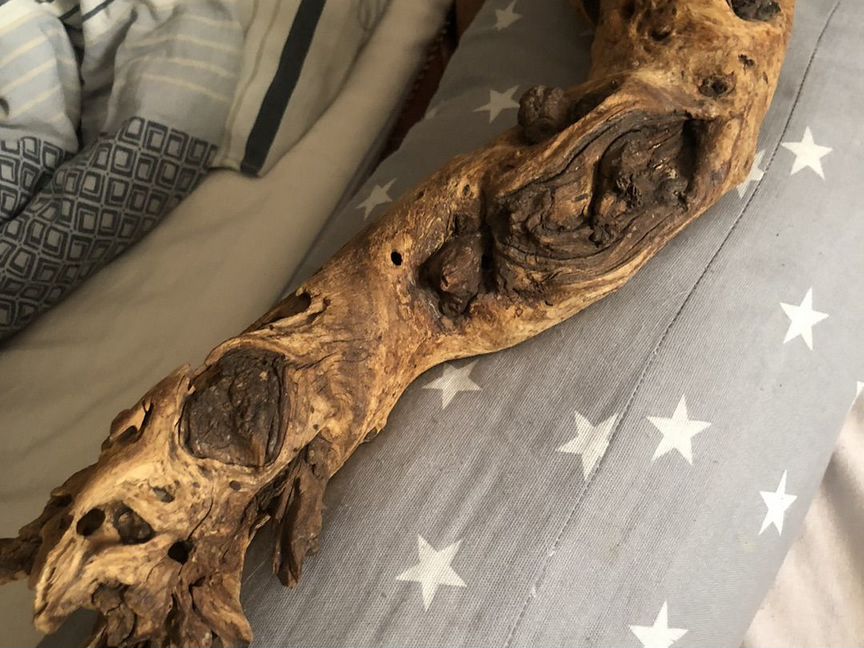 Коряга в террариум