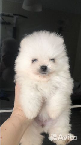 Микро mini девочка