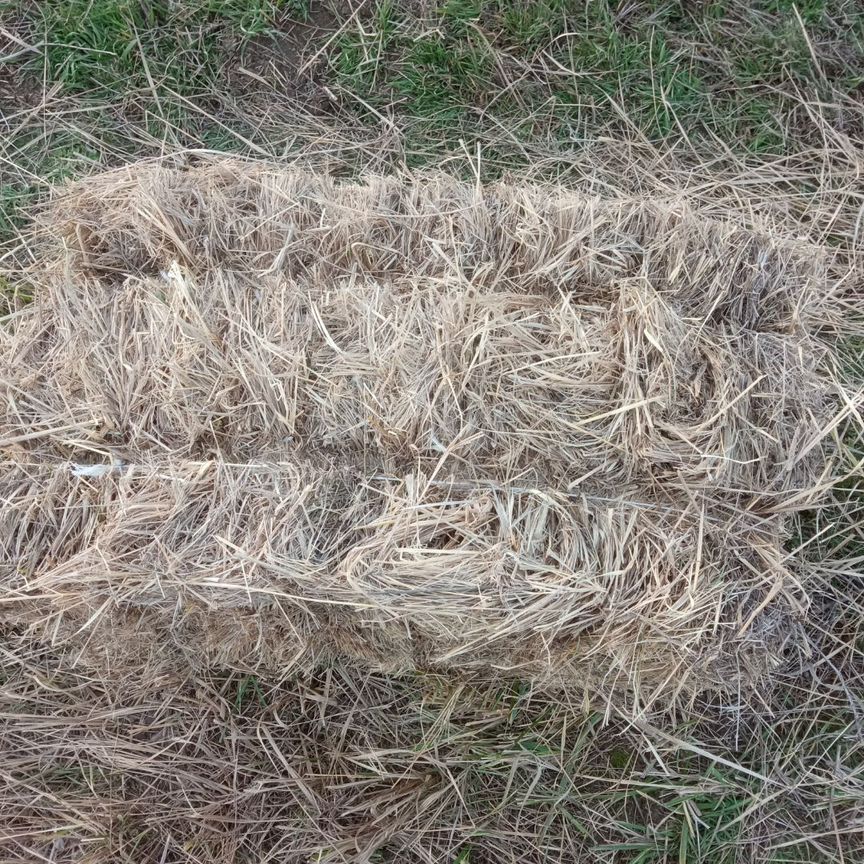 Сено солома в тюках