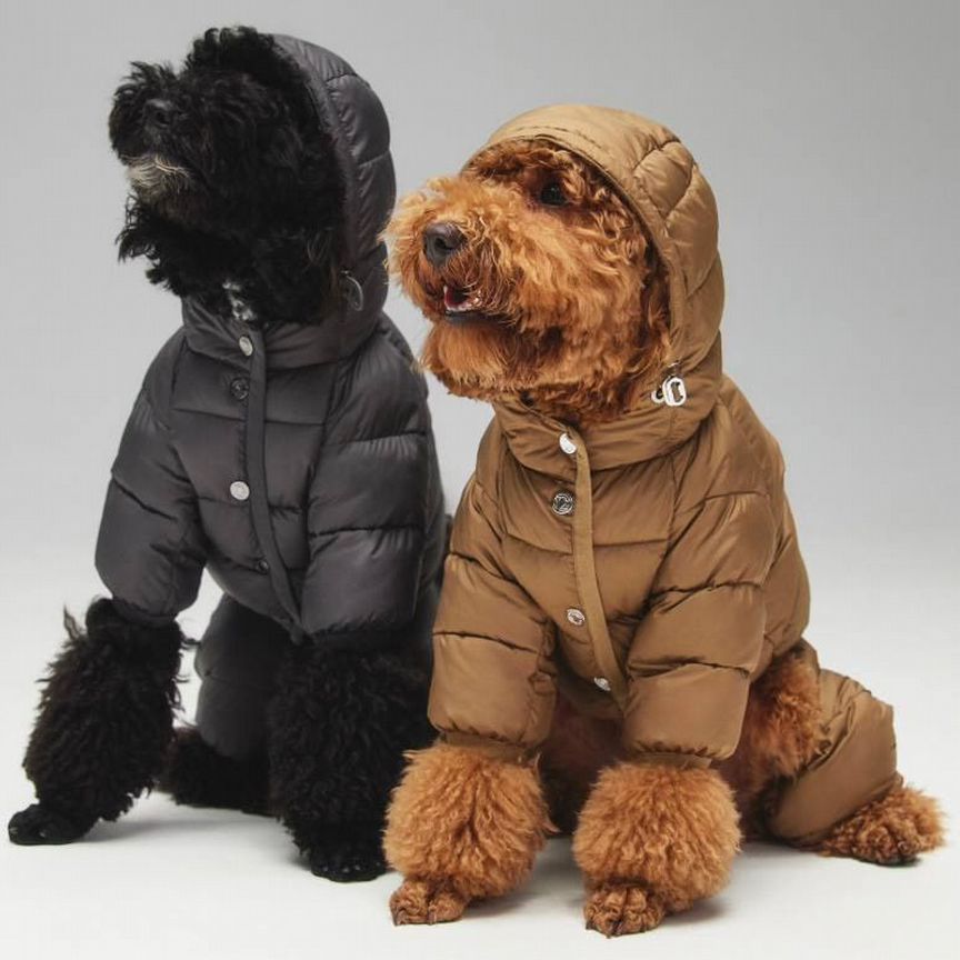 Одежда для собак комбинезон 12Storeez