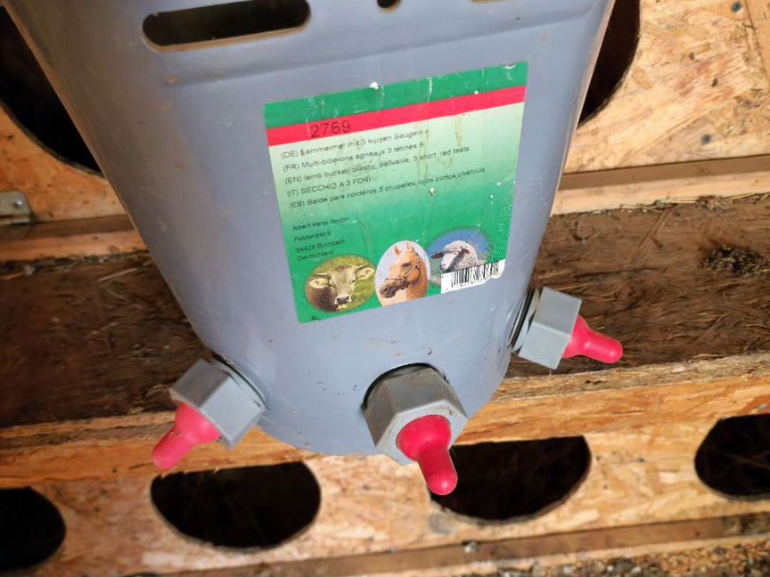 Ведро для выпойки козлят,телят или овец