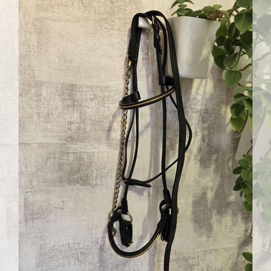 Выводной недоуздок