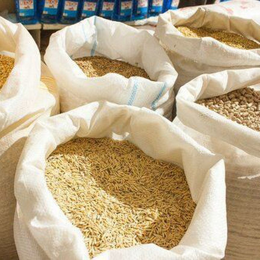 Зерно пшеница, овёс