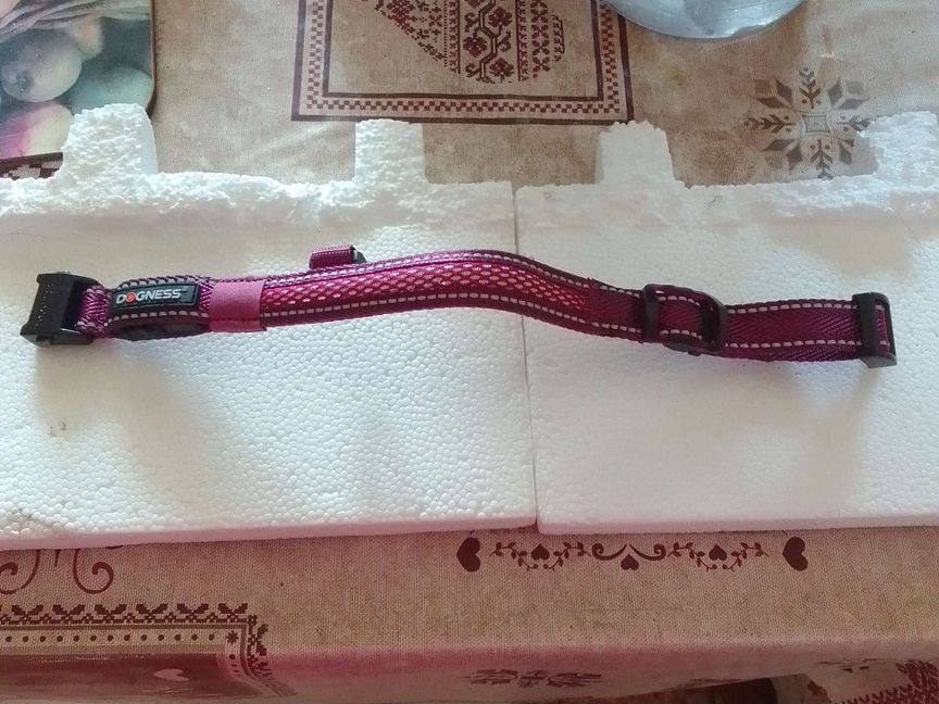 Ошейник с подсветкой для собаки средних размеров