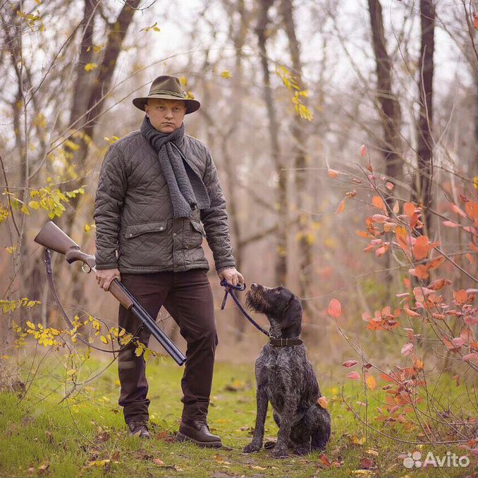 Вязка Дратхаар Германия