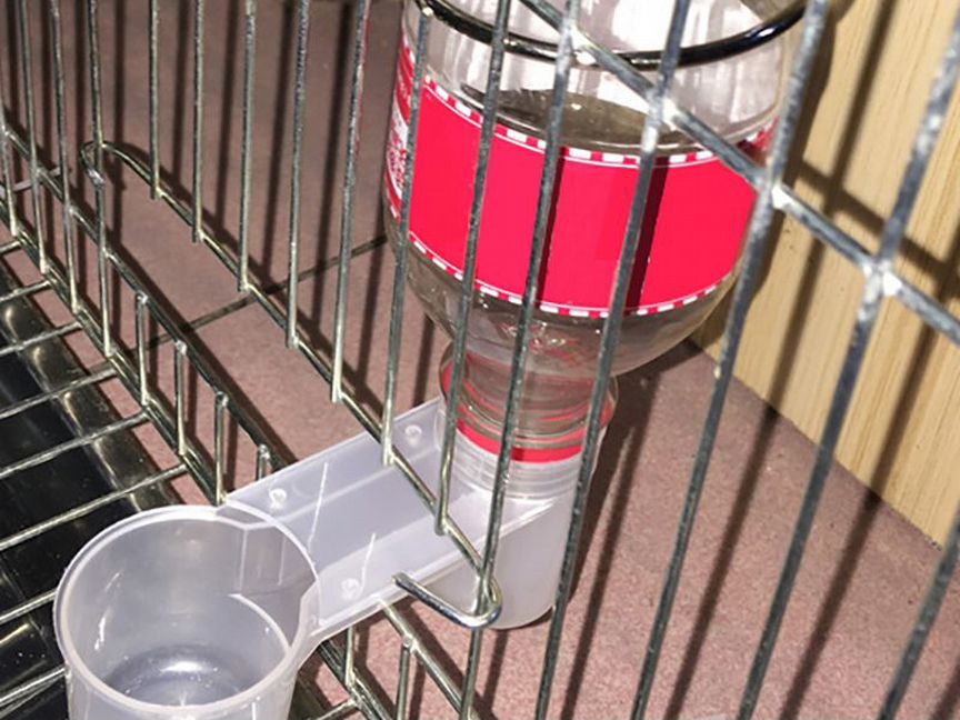 Универсальная поилка для птиц и мелких животных