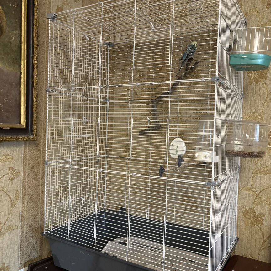 Клетка для попугая большая 112х78 см