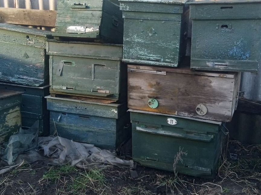 Улья для пчёл лежаки