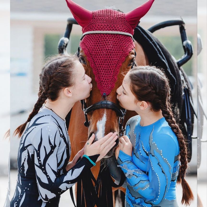 Амуниция для лошади