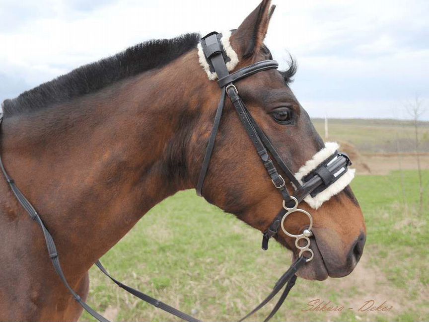 Мех на капсюль и затылок